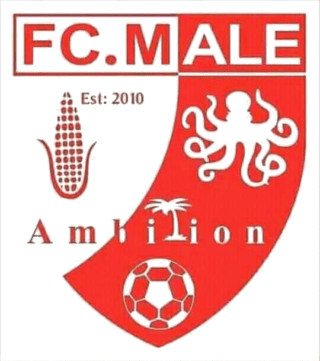 Equipe nationale de football des Comores - Cœlacanthes